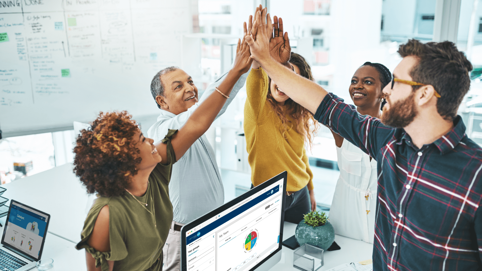 Everything DiSC® Catalyst™ - TRC-The Resource Connection LLC